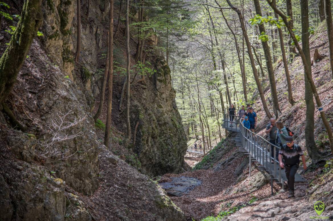 Janosikowe Diery najpiękniejszy szlak Małej Fatry: mapa, porady