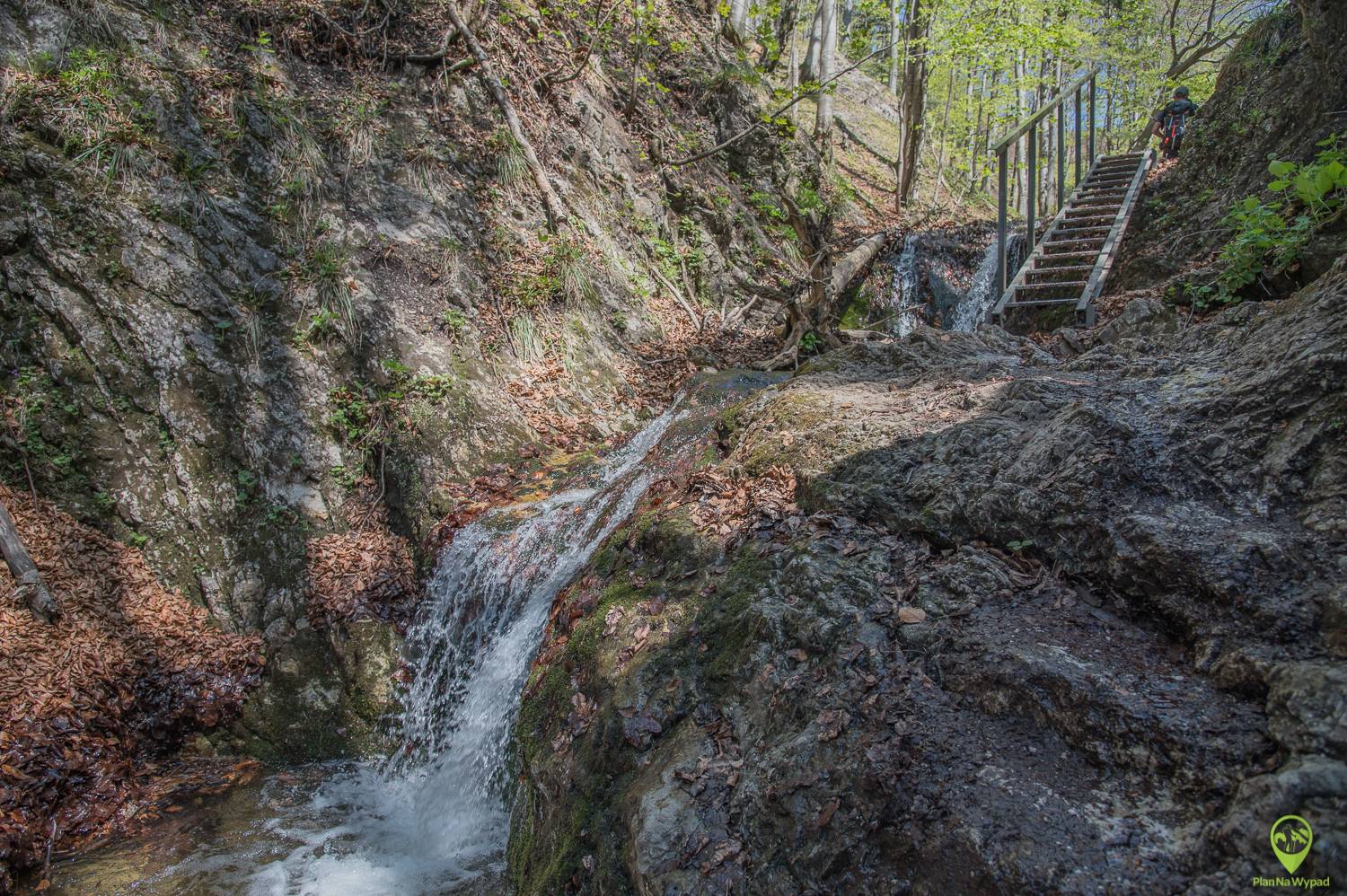 Janosikowe Diery najpiękniejszy szlak Małej Fatry: mapa, porady