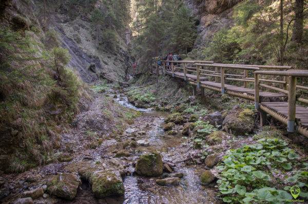 Janosikowe Diery najpiękniejszy szlak Małej Fatry: mapa, porady
