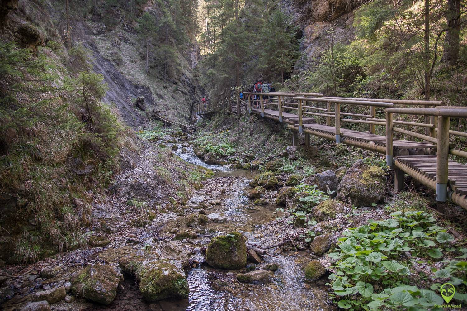 Janosikowe Diery najpiękniejszy szlak Małej Fatry: mapa, porady