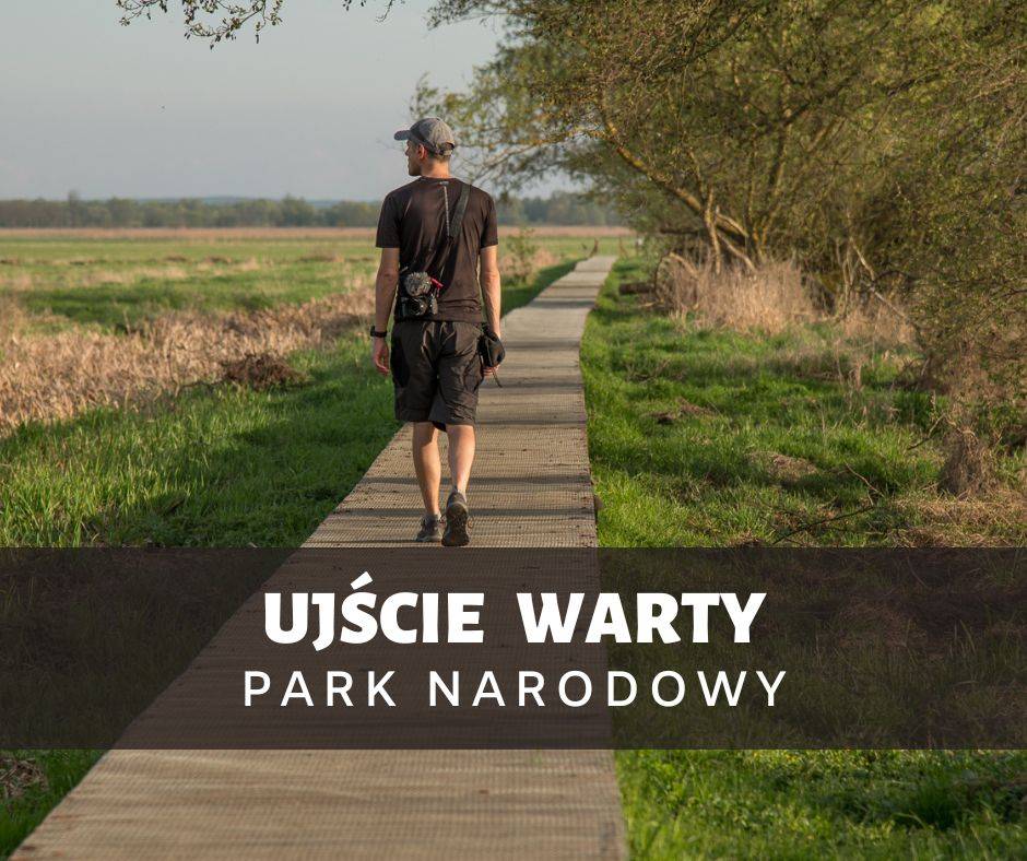 Park Narodowy Ujście Warty: 10 atrakcji, które warto zobaczyć