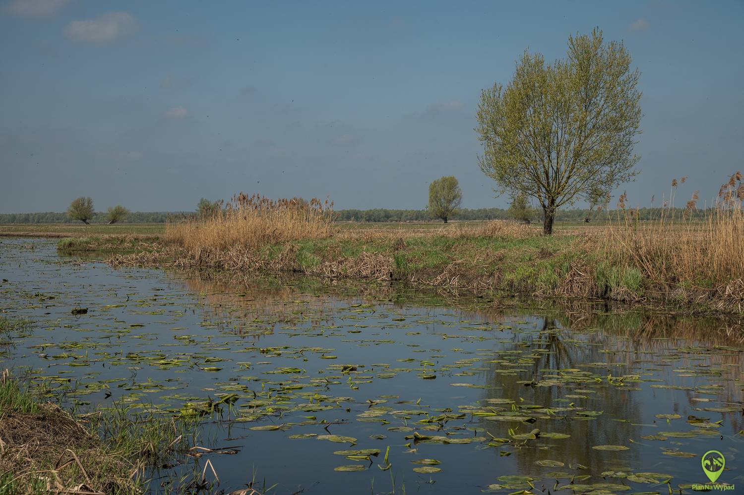 Park Narodowy Ujście Warty: 10 atrakcji, które warto zobaczyć