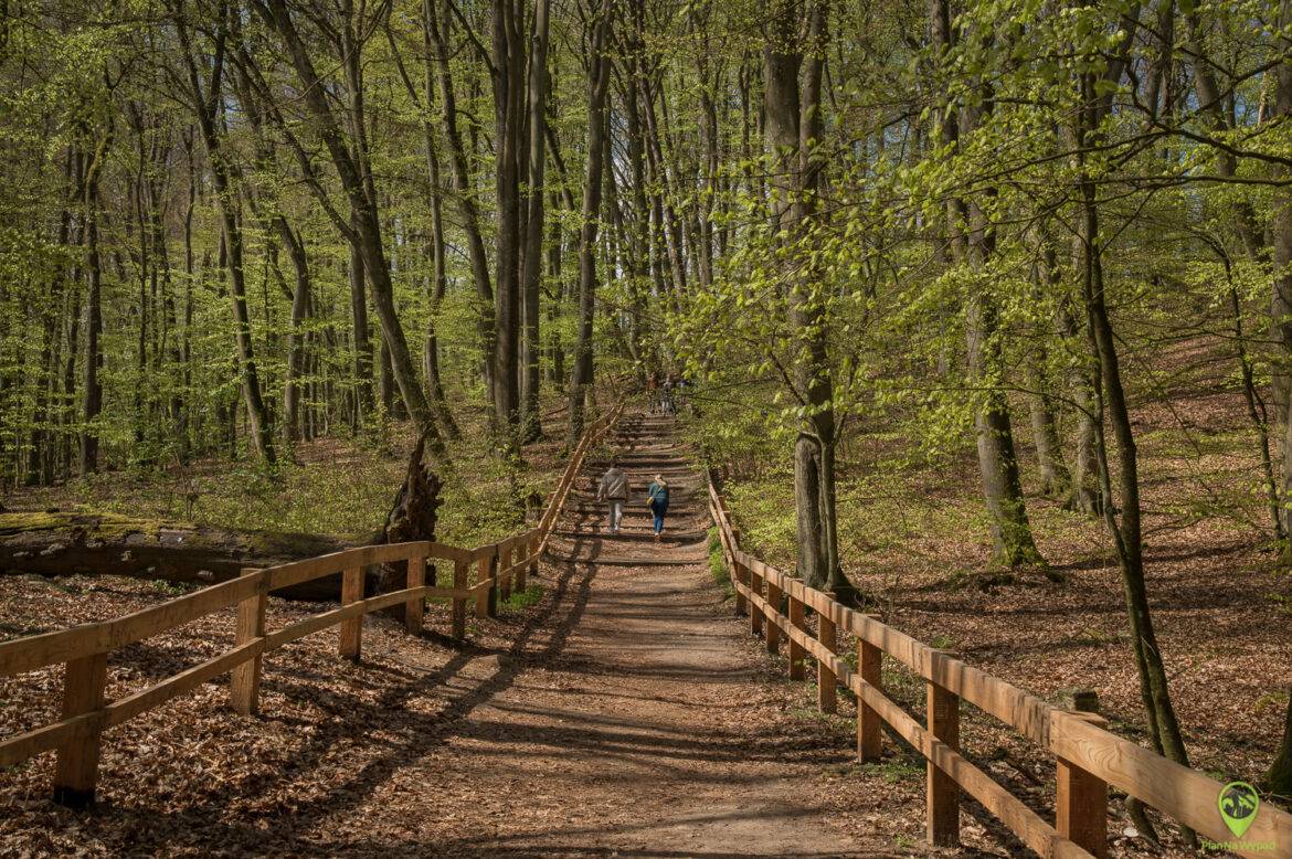 Woliński Park Narodowy: TOP 10 atrakcji, klify, dzikie plaże