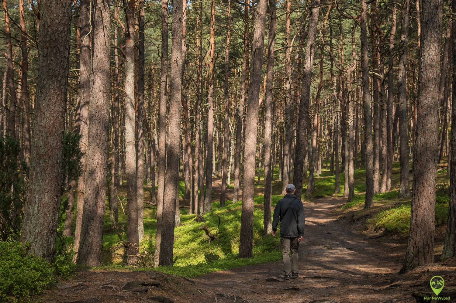 Woliński Park Narodowy: TOP 10 atrakcji, klify, dzikie plaże
