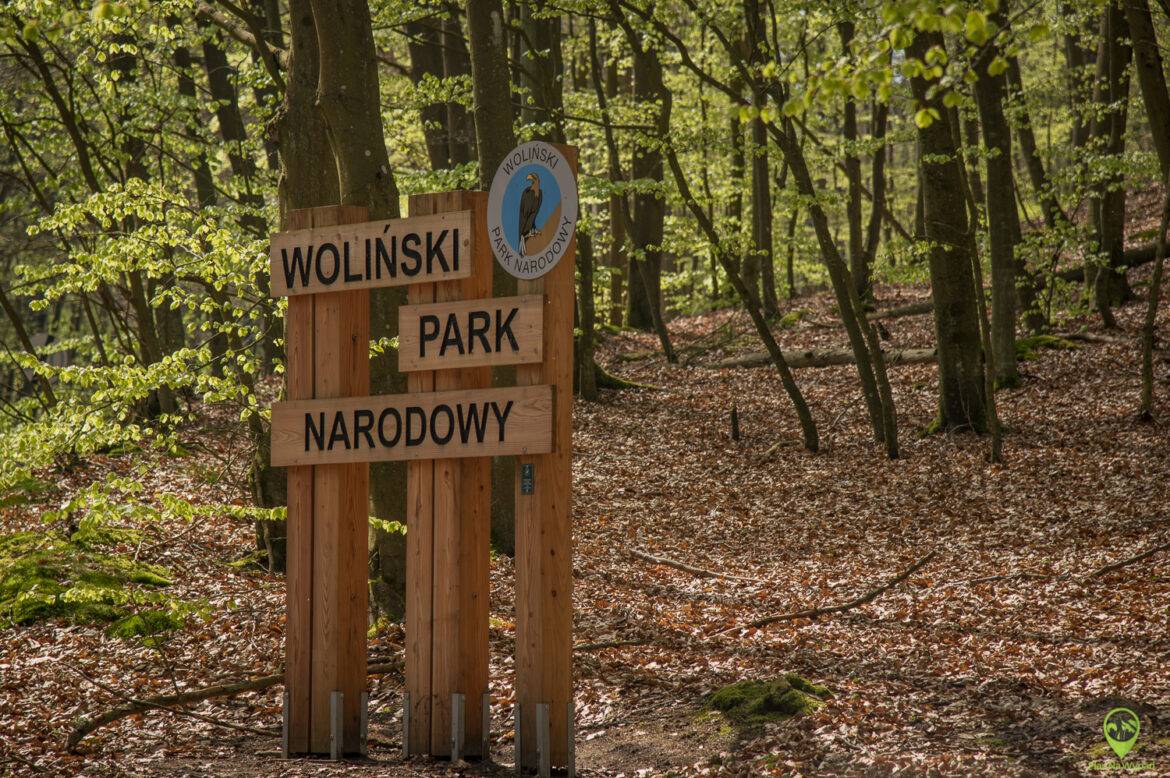Woliński Park Narodowy: TOP 10 atrakcji, klify, dzikie plaże
