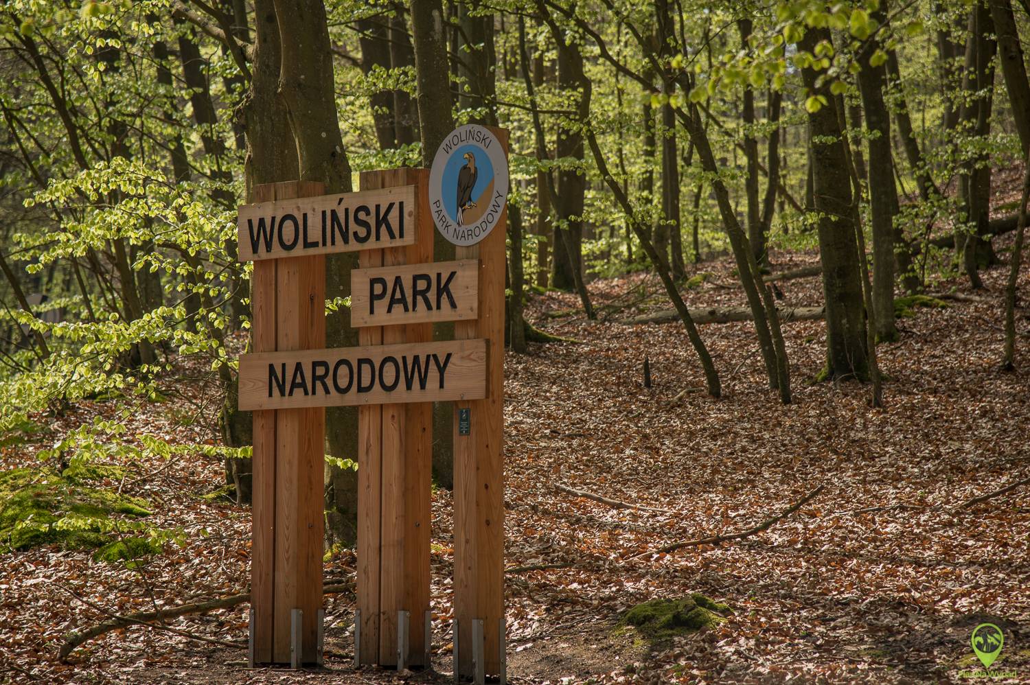 Woliński Park Narodowy: TOP 10 atrakcji, klify, dzikie plaże