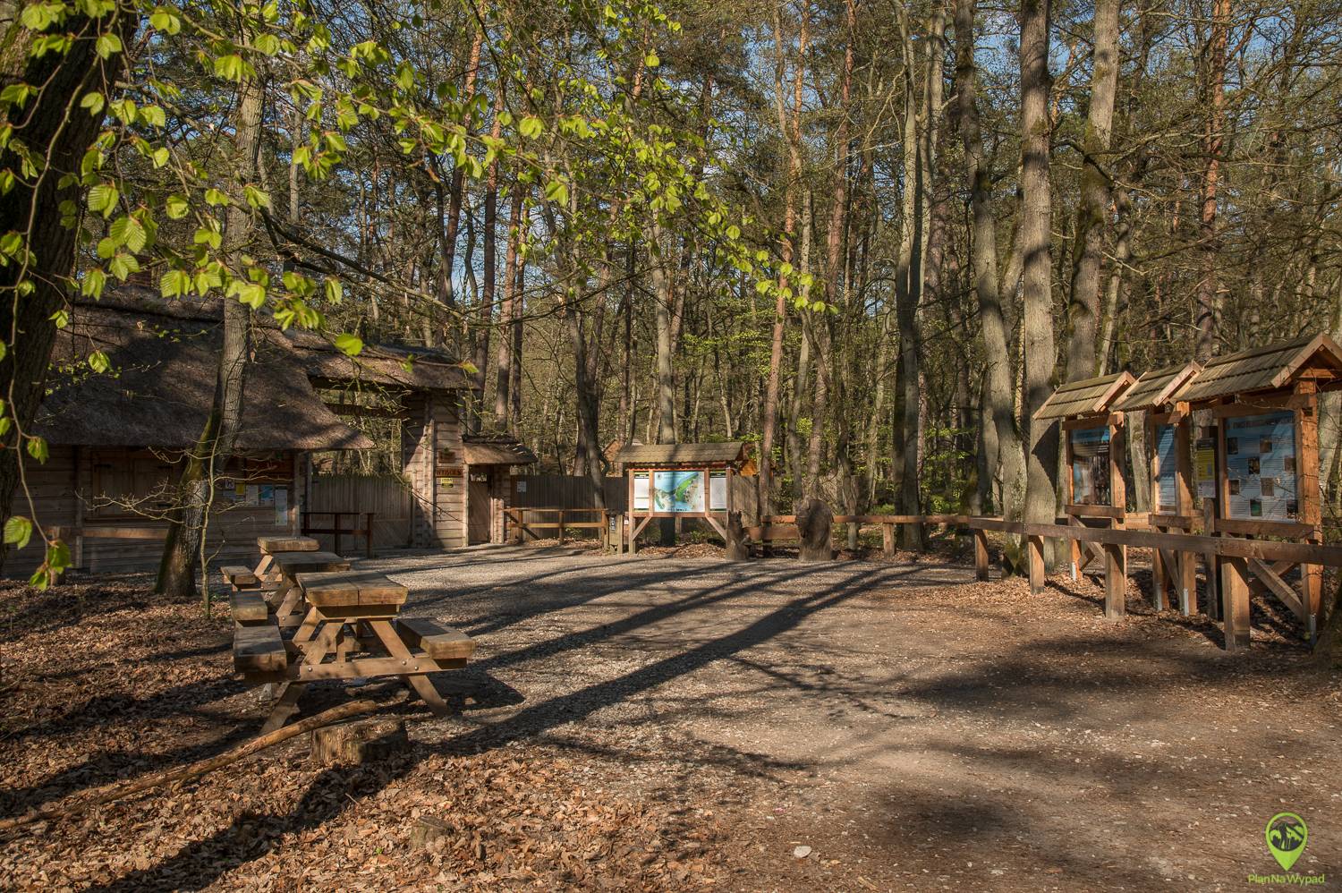 Woliński Park Narodowy: TOP 10 atrakcji, klify, dzikie plaże